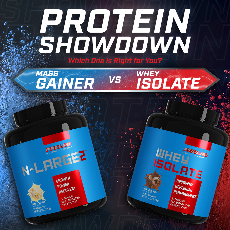 The Mass Gainer vs Whey Protein Showdown – Prolab Nutrition
