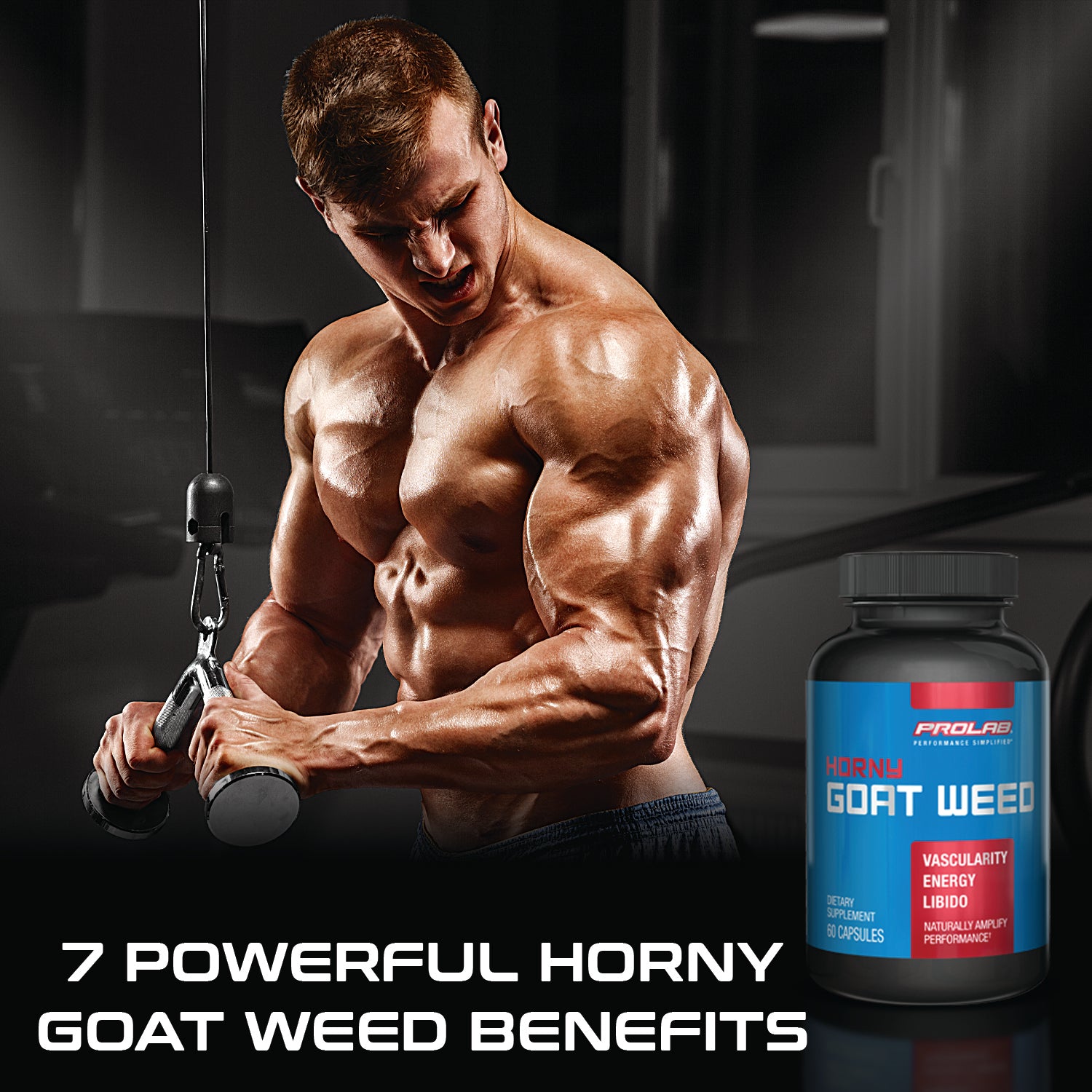 Powerful Horny Goat Weed Benefits For Bodybuilding + 7 Uses – Prolab ...