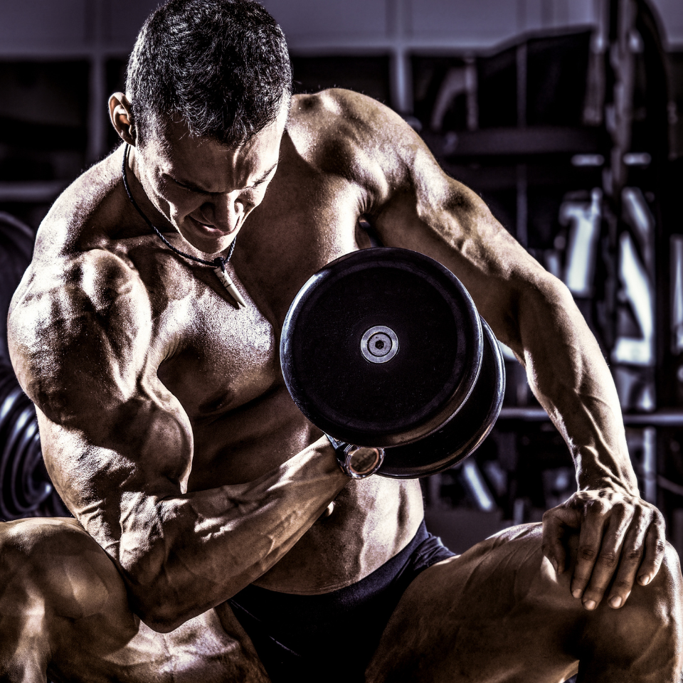 The #1 Best Mass Gainer For Powerful Growth & Size – Prolab Nutrition